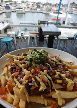 Go with the Ebb & Flow | Off The Leash